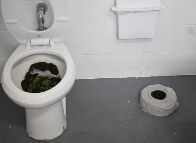 Vandalism continues at parks | News, Sports, Jobs - Fairmont Sentinel